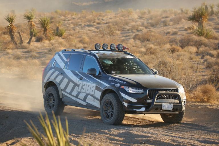 Meet Evie Harper | Driver & Architect of Opportunity - SHOUTOUT ARIZONA