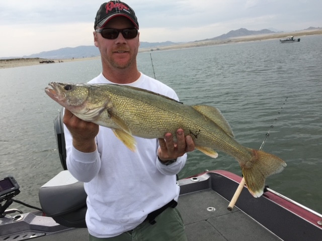 Meet Josh Sheldon | Tournament Fisherman - SHOUTOUT COLORADO