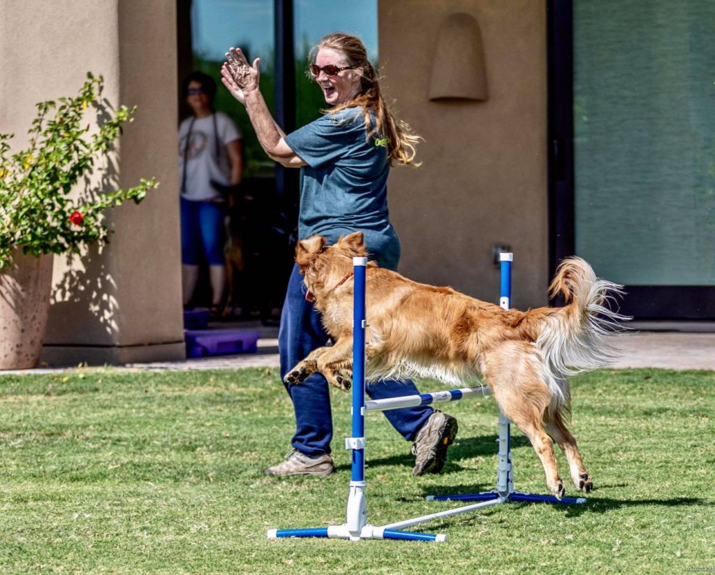 Meet Julie Montilla | Dog Trainor - SHOUTOUT ARIZONA